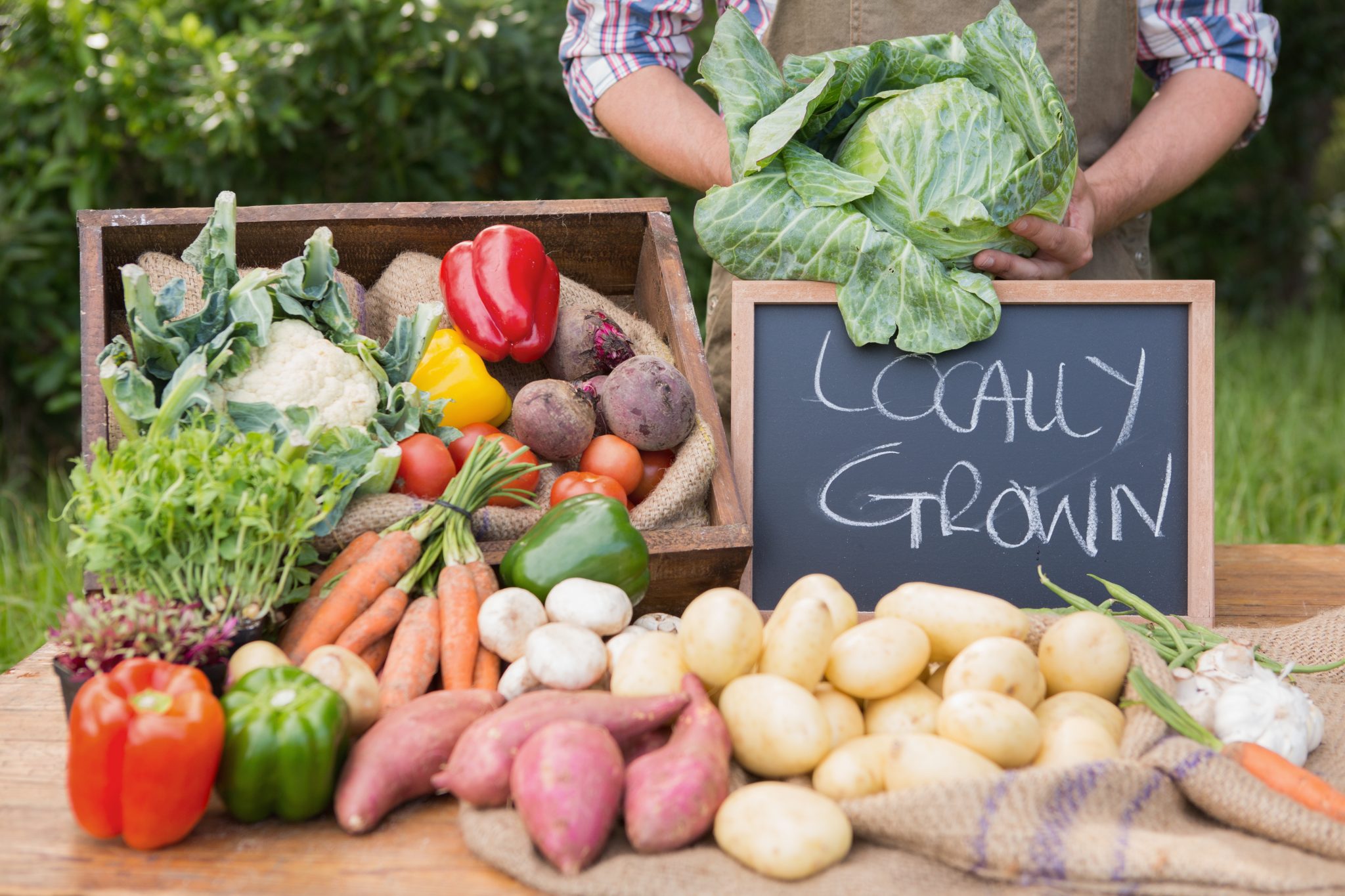 How to Eat Organic on a Budget and Make Smarter Choices for Your Family ...