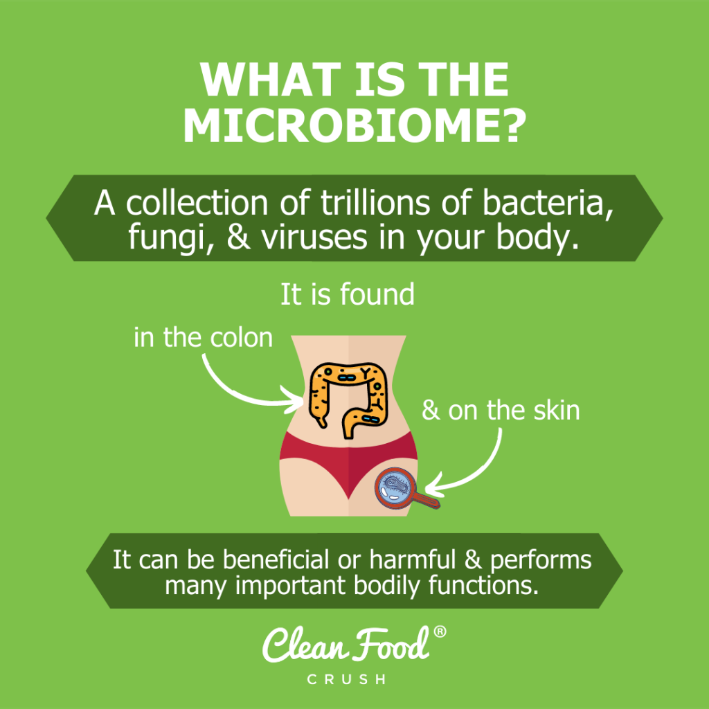 What is Your Microbiome, and How Can You Support It? | Clean Food Crush