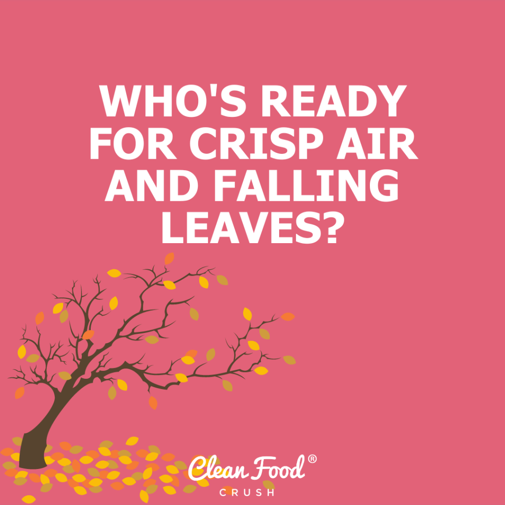 Fun and Healthy Fall Activities | Clean Food Crush