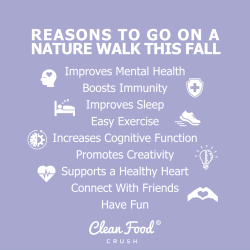 Benefits of Fall Nature Walks | Clean Food Crush