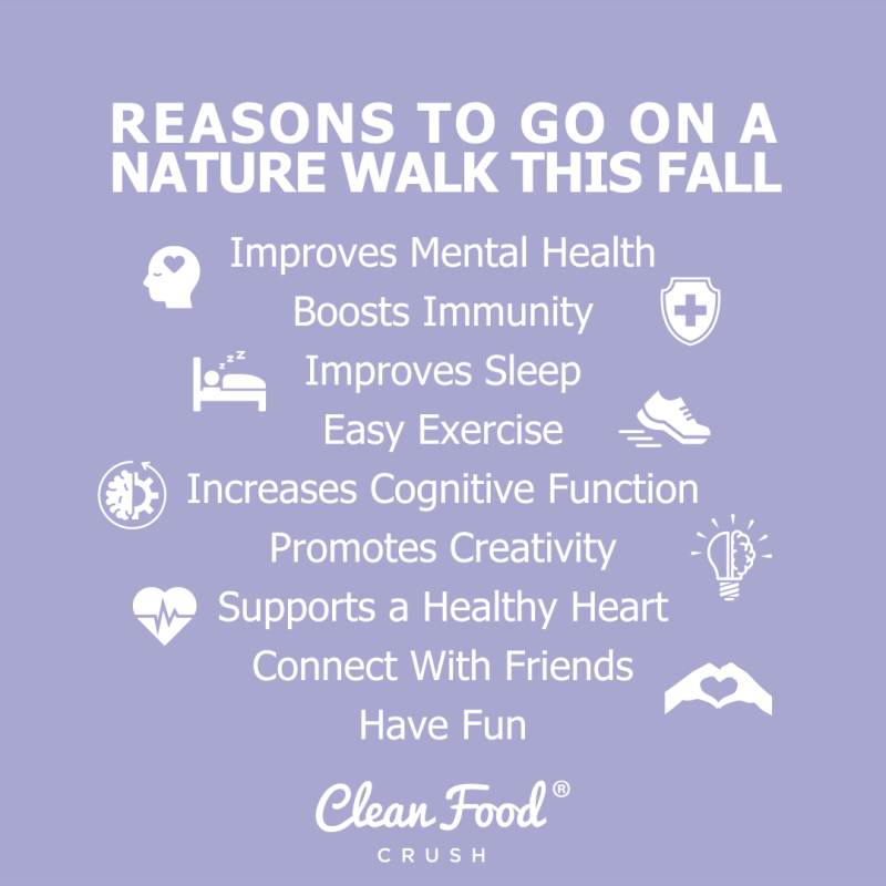 Benefits of Fall Nature Walks | Clean Food Crush