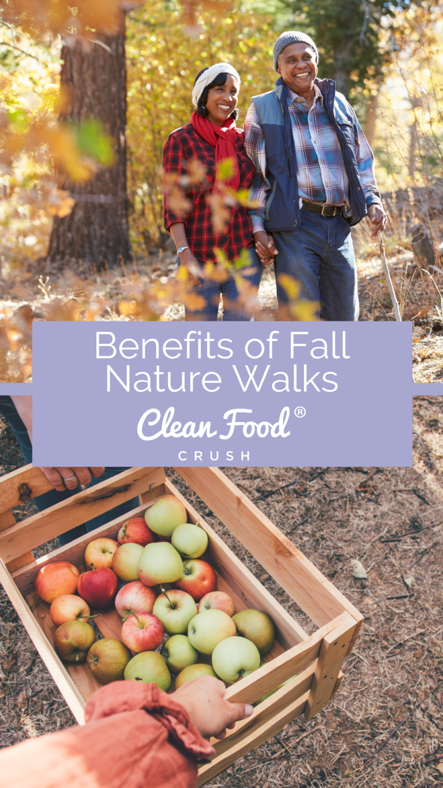 Benefits of Fall Nature Walks | Clean Food Crush