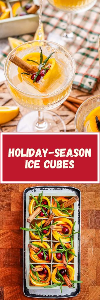 Festive Holiday-Season Ice Cubes (for cocktails and mocktails) | Clean ...